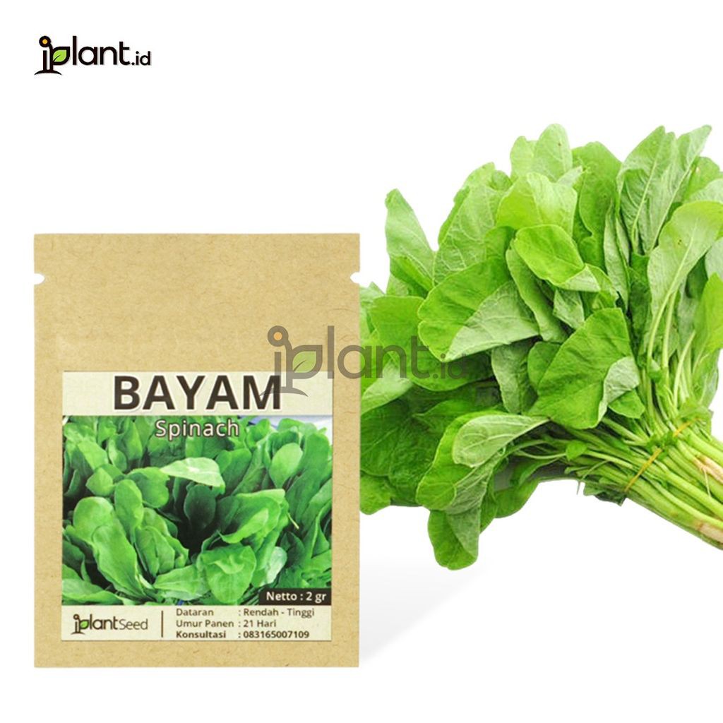 Jual Benih Bayam | Shopee Indonesia