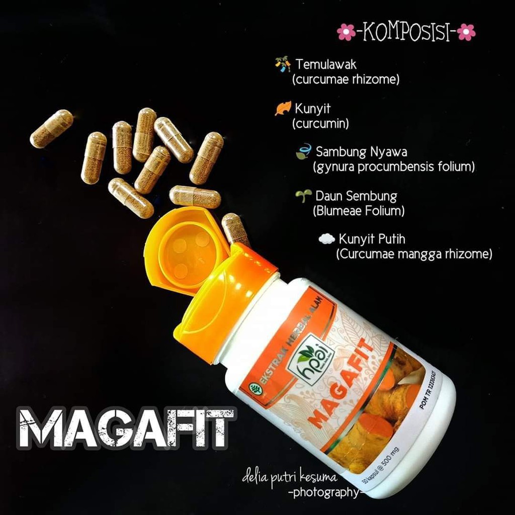 Jual KAPSUL MAGAFIT HNI EXTRAK KUNYIT MEMELIHARA FUNGSI ORGAN LAMBUNG ...
