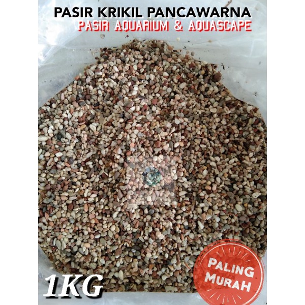 Jual PASIR KERIKIL PANCAWARNA 1KG, PASIR AQUARIUM AQUASCAPE, ISI VAS ...