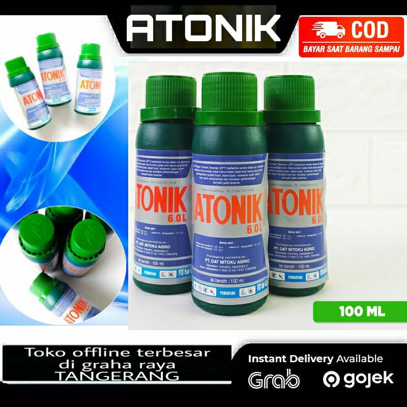 Jual Atonik 6.0 L Pupuk Hormon ZPT (Zat Pengatur Tumbuh) | Shopee Indonesia