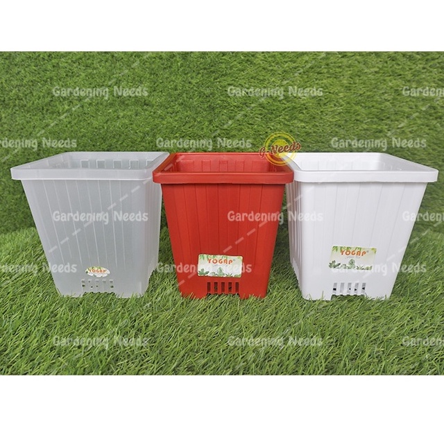 Jual Pot Kaktus Tinggi Kotak Pot Bunga Yogap Kotak 22 YPK 22 | Shopee ...