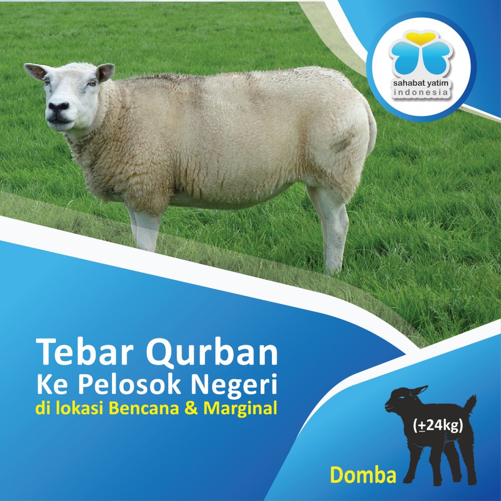 Jual Qurban Kurban Domba untuk Anak Yatim dan Dhuafa | Shopee Indonesia