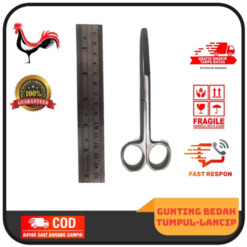 Jual Gunting Bedah Hewan / Unggas / Ayam (Lancip - Tumpul) | Shopee ...