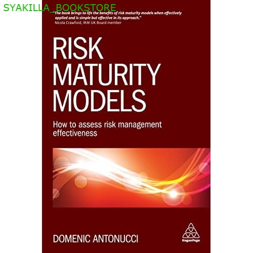 Jual Risk Maturity Models: How to Assess Risk Management Effectiveness ...