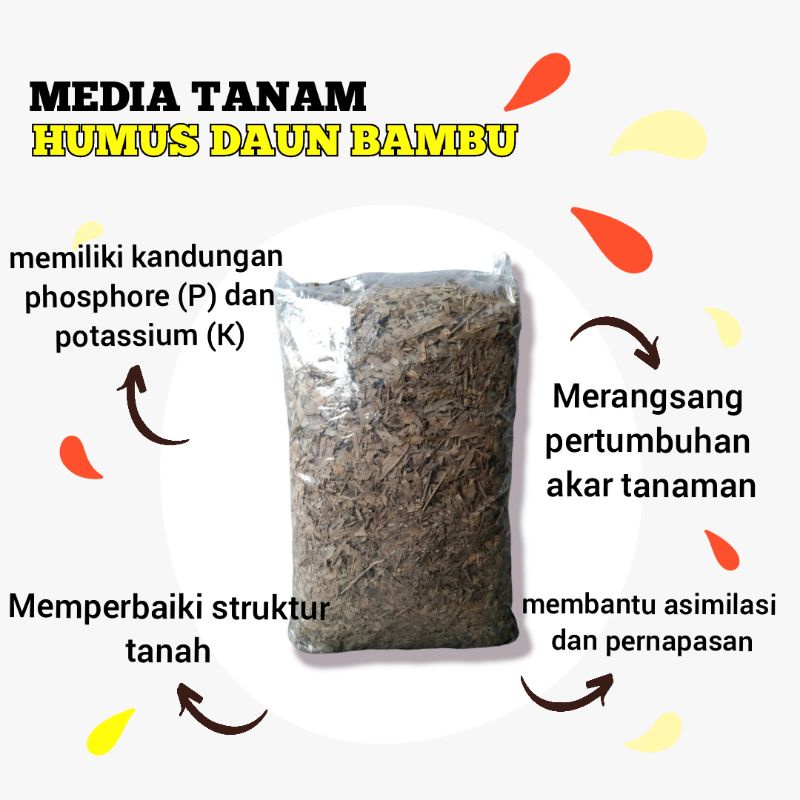 Jual Humus Bambu Fermentasi Media Tanaman | Shopee Indonesia