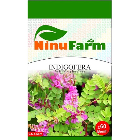 Jual Benih Bibit Daun Bunga Indigofera (Pohon Nila) Ninufarm (60 Butir ...