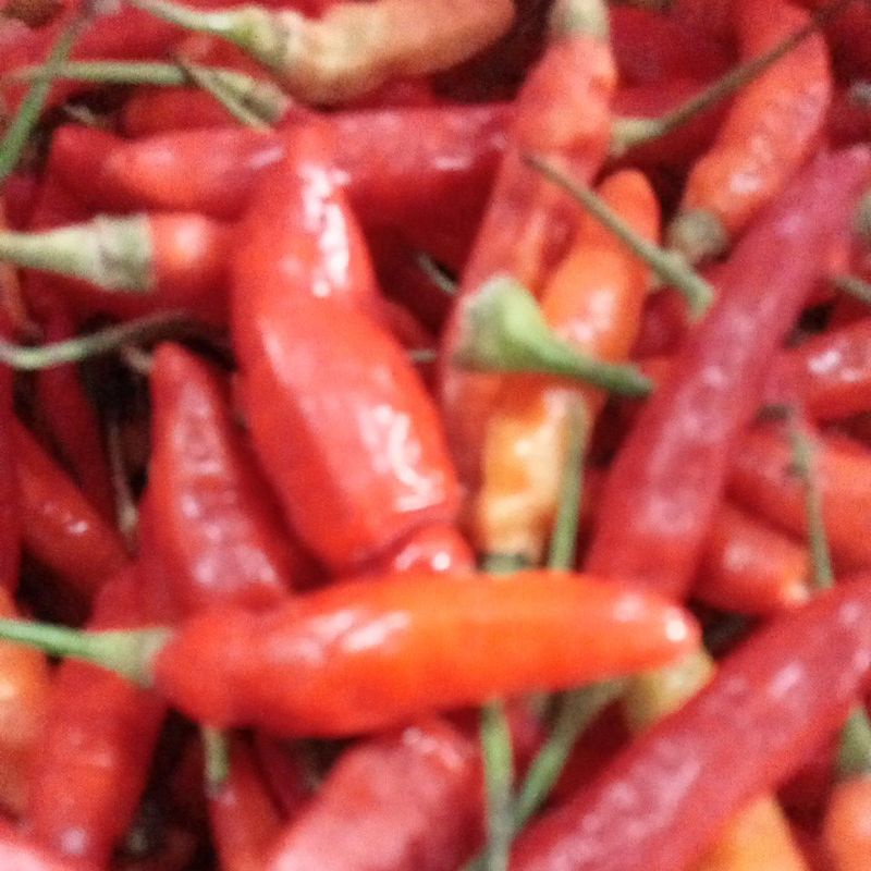 Jual CABAI RAWIT MERAH 1KG FRESH | Shopee Indonesia