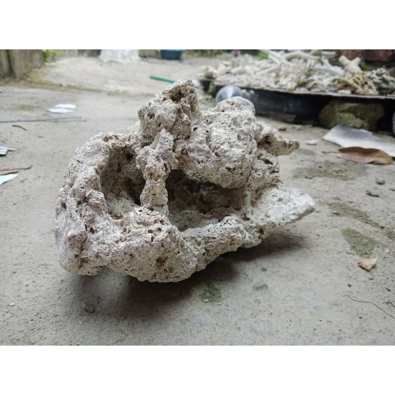 Jual batu karang aquarium aquascape lobang goa rumah ikan hias untuk ...