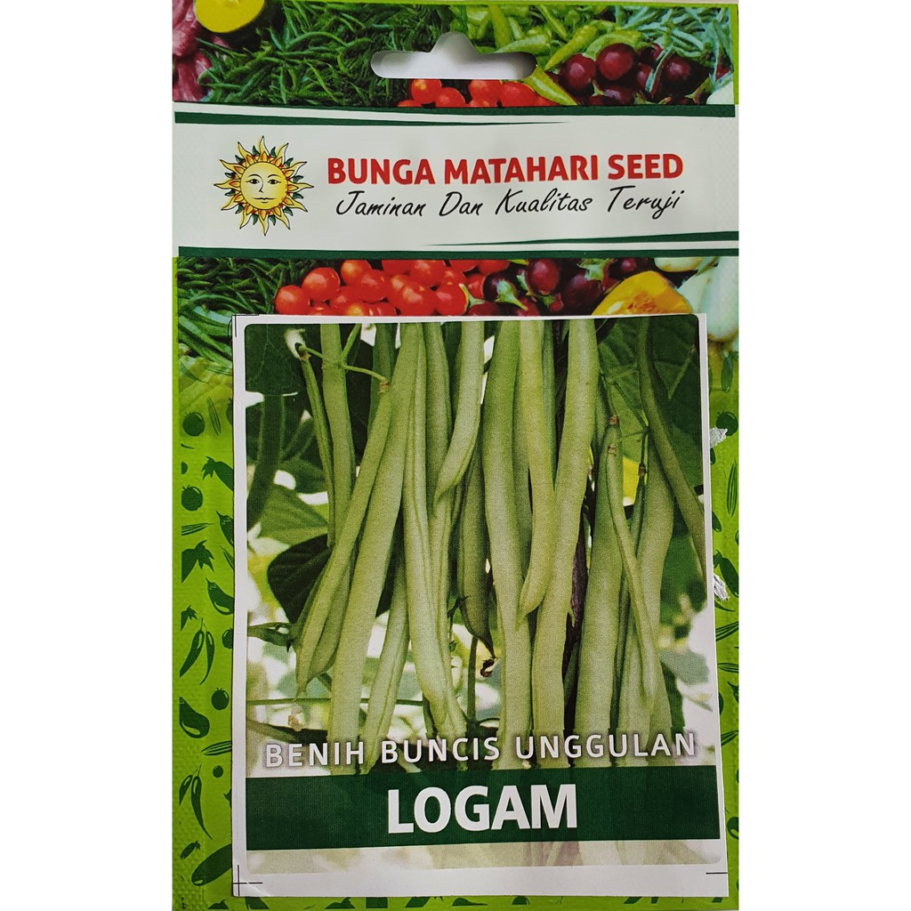 Jual Benih Buncis Logam (Cap Bunga Matahari) 20 gram (kemasan pabrik ...