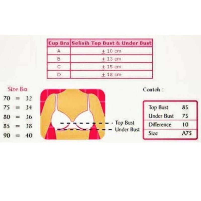 Jual PANDUAN SIZE BRA CUP A B C D | Shopee Indonesia