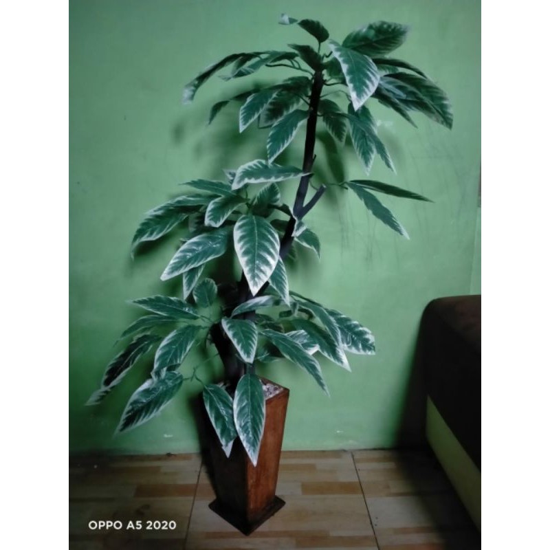 Jual lis putih/bunga hias/sudut ruangan/bunga artificale | Shopee Indonesia