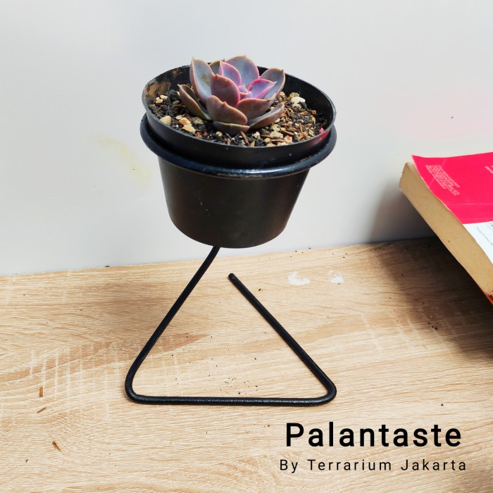 Jual Standing Planter Besi Hiasan Meja Untuk Ukuran Pot 10 CM | Shopee ...