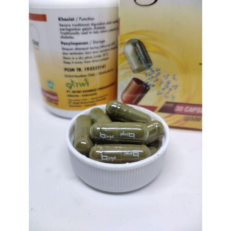 Jual GlUCOACTIVE OBAT DIABETES DAN KENCING MANIS | Shopee Indonesia