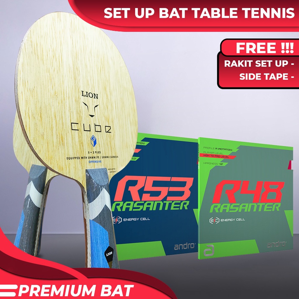 Jual Setup Tenis Meja Pingpong Lion Cube OFF Cabon Andro Rasanter R53 R48 | Shopee Indonesia