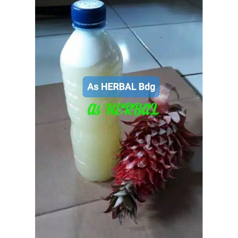 Jual Jus Nanas muda nanas merah nanas hutan 600 ml-az | Shopee Indonesia