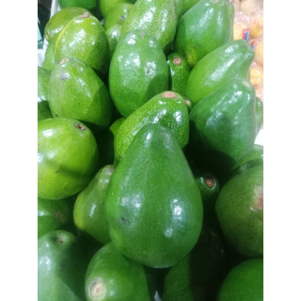 Jual alpukat mentega super 1kg | Shopee Indonesia