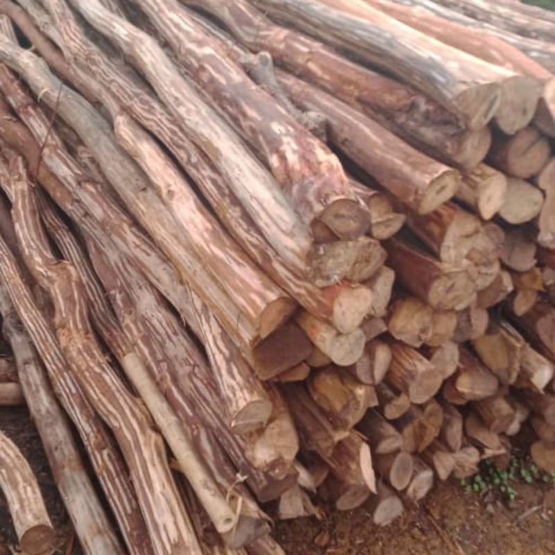 Jual dolken kayu puspa dimeter 5/6/7 | Shopee Indonesia