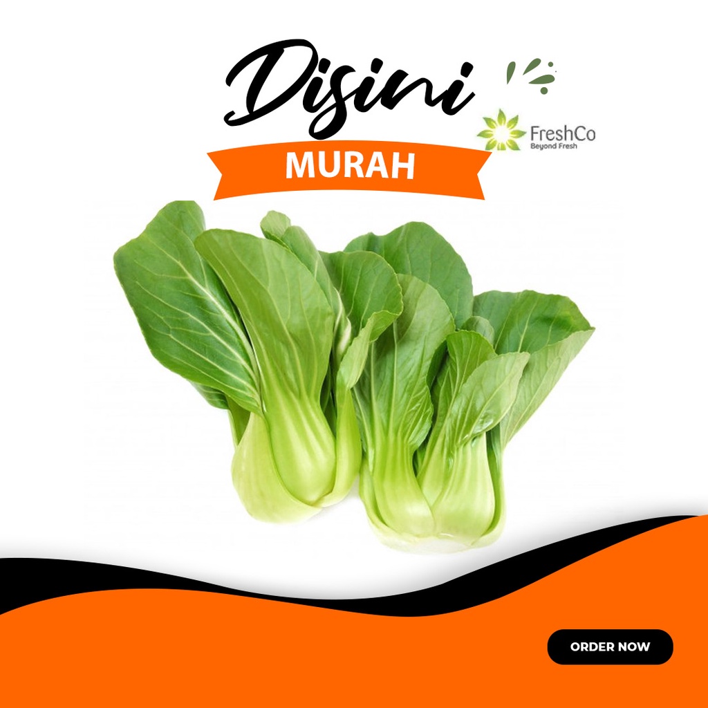 Jual pokcoy / pakcoy / pokcay per 250gr | Shopee Indonesia