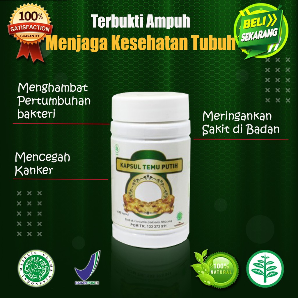 Jual Obat Tradisional Jamu Kapsul Temu Putih Asli Original Halal Bpom ...