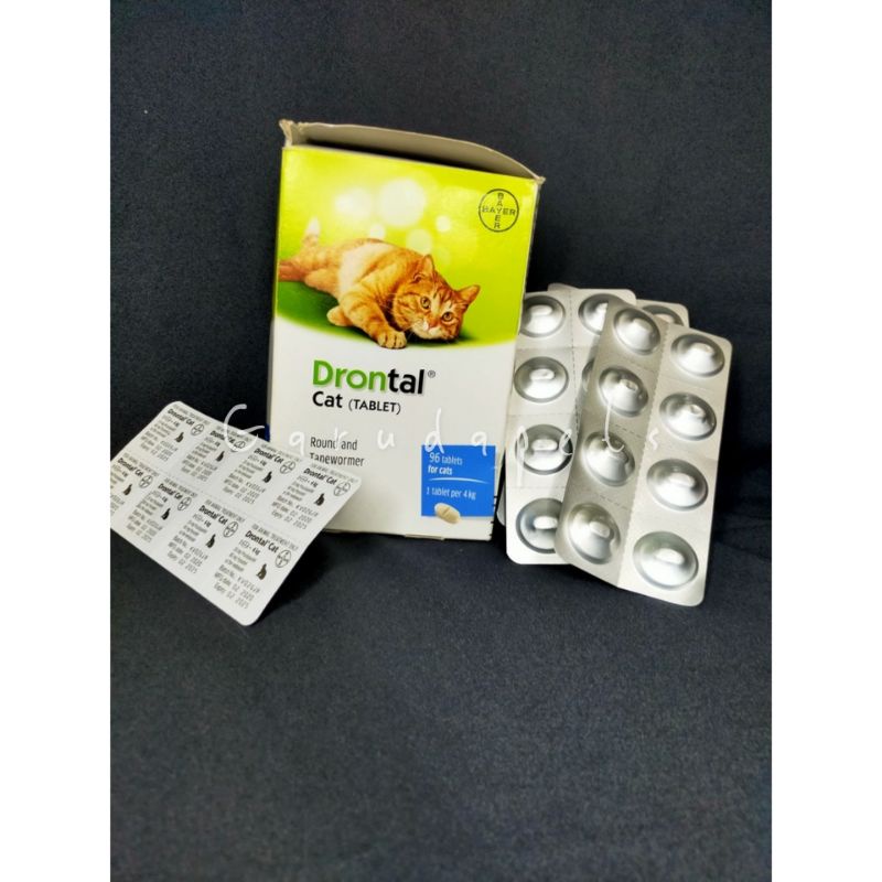 Jual Obat Cacing Kucing Drontal Cat (tablet)- original | Shopee Indonesia