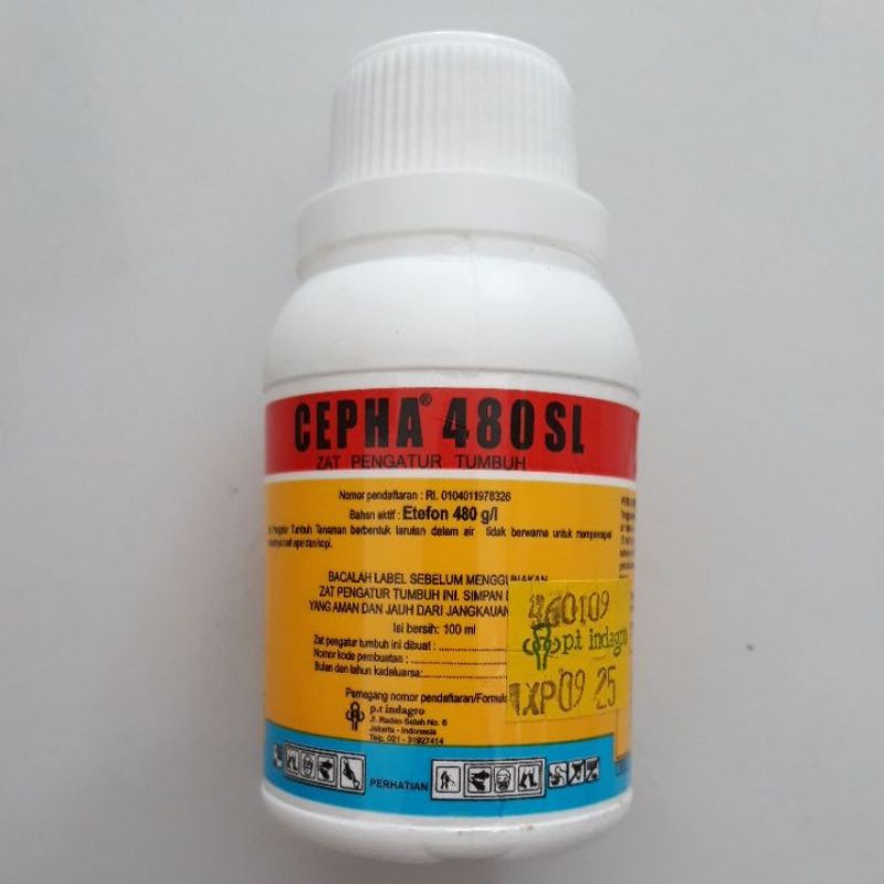 Jual Cepha ori 480 SL 100 ml zat pengatur tumbuh dan mempercepat ...