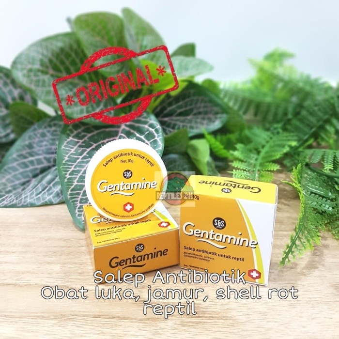 Jual Reptil-Vitamin-Obat- Gentamine Salep Obat Antibiotik Reptil / Luka ...