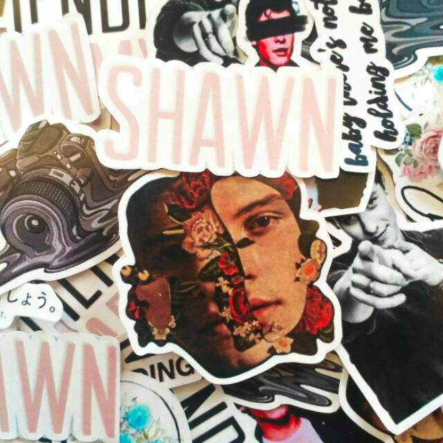 Jual Shawn Mendes Waterproof Sticker Pack include 12 pcs Aesthetic ...