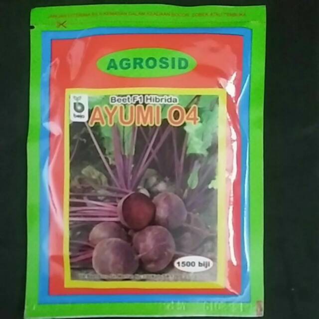 Jual Benih bibit beetroot bit merah beet red F1 hibrida Ayumi 04 ...