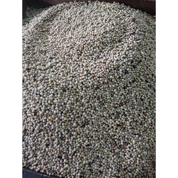 Jual Lada/ Merica Butir/Biji Kiloan 1Kg | Shopee Indonesia
