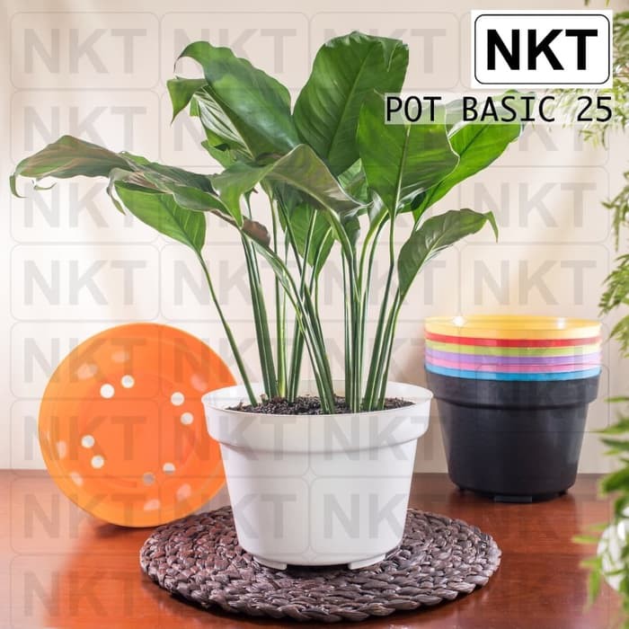 Jual Pot Bunga | Pot plastik | Pot 25 cm | Pot warna warni Limited ...