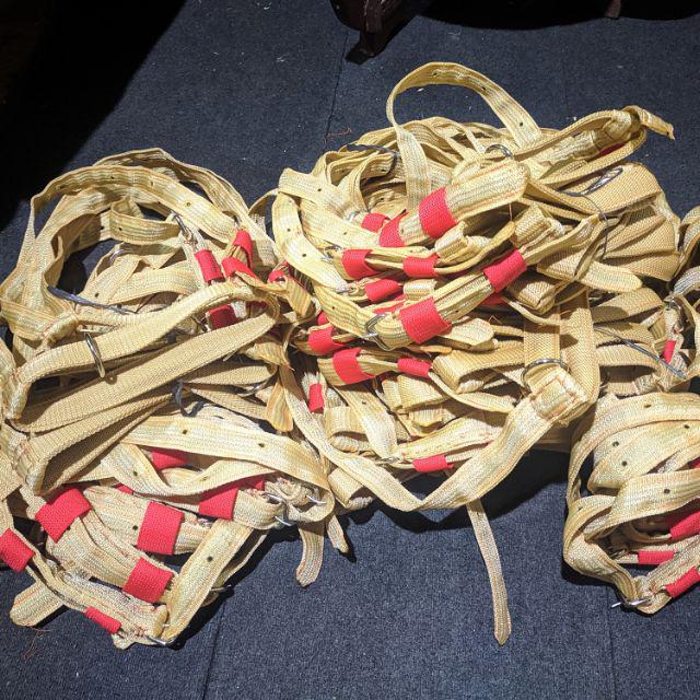 Jual Tali Tuntun Sapi, Head Halter, Brangus Sapi | Shopee Indonesia