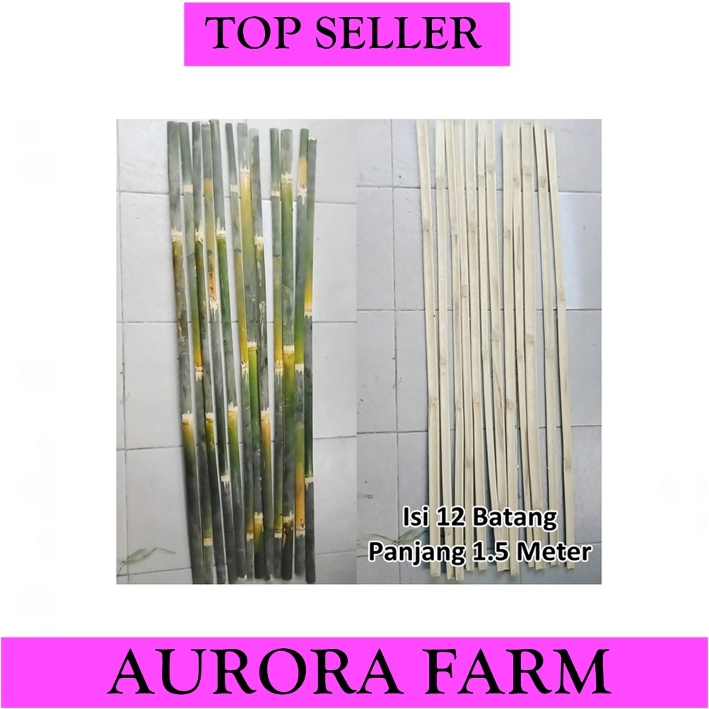 Jual Bambu Pagar Batangan Penyangga Ukuran 1.5 Meter | Shopee Indonesia