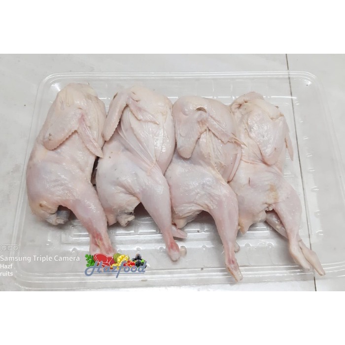 Jual BURUNG PUYUH BERSIH SIZE A I IWAK PUYUH I DAGING PUYUH 10 PCS ...