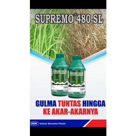 Jual HERBISIDA SUPREMO 480 SL 1 Liter | Shopee Indonesia