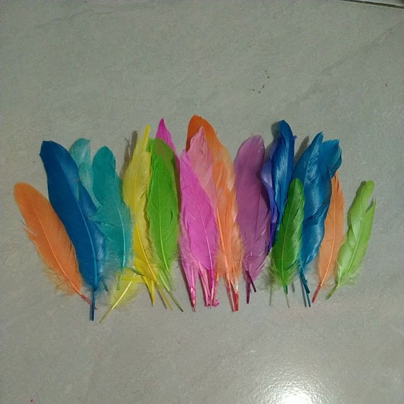 Jual Bulu angsa ceper warna warni 100 helai | Shopee Indonesia