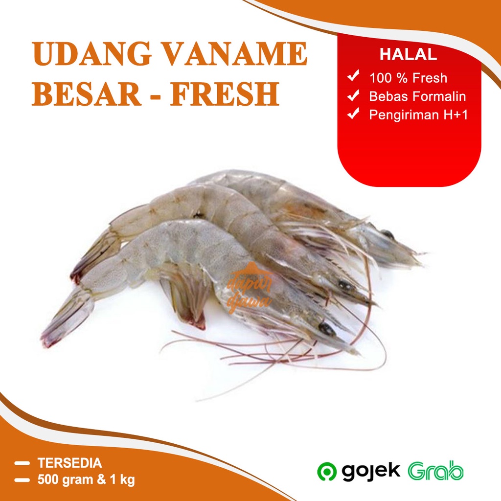 Jual UDANG VANAME PANAMI BESAR JERBUNG BEKU FROZEN 500 GRAM 1 KG ...