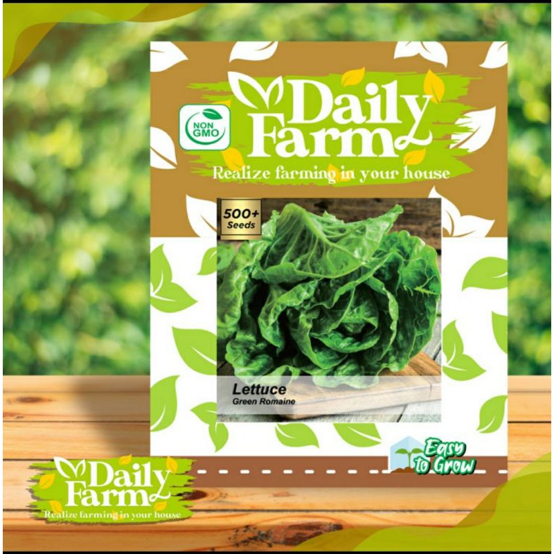 Jual Benih Selada - Bibit Lettuce Selada Green Romaine - Daily Farm | Shopee Indonesia