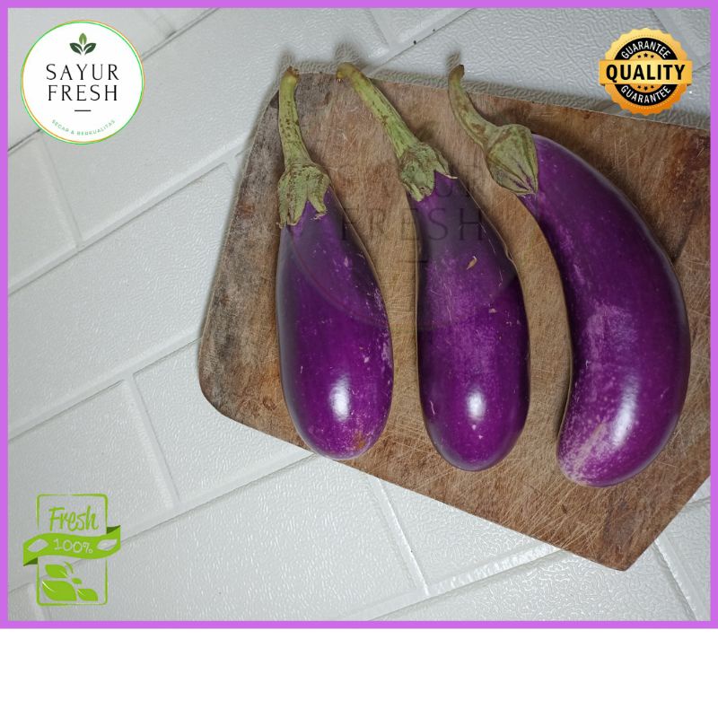 Jual terong ungu 500 g | Shopee Indonesia