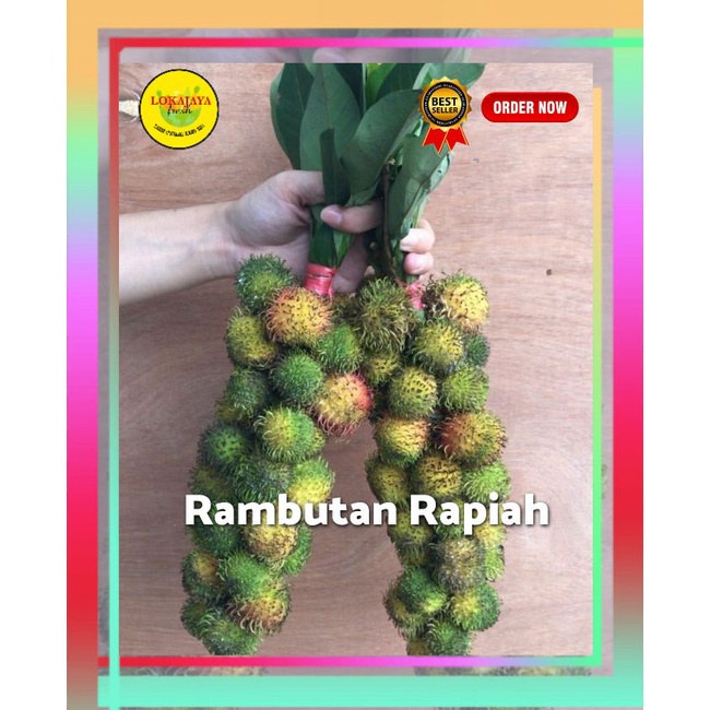 Jual RAMBUTAN RAPIAH/ CIPELAT PER IKAT KHUSUS JABODETABEK | Shopee ...