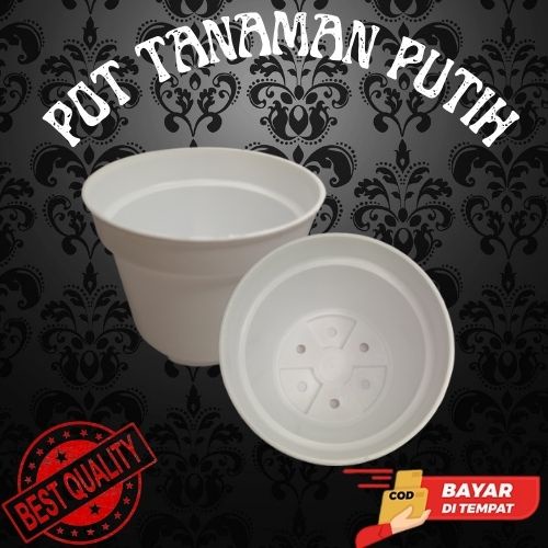 Jual Pot Bunga dan Tanaman Berbagai Ukuran - Pot Putih - Pot ...