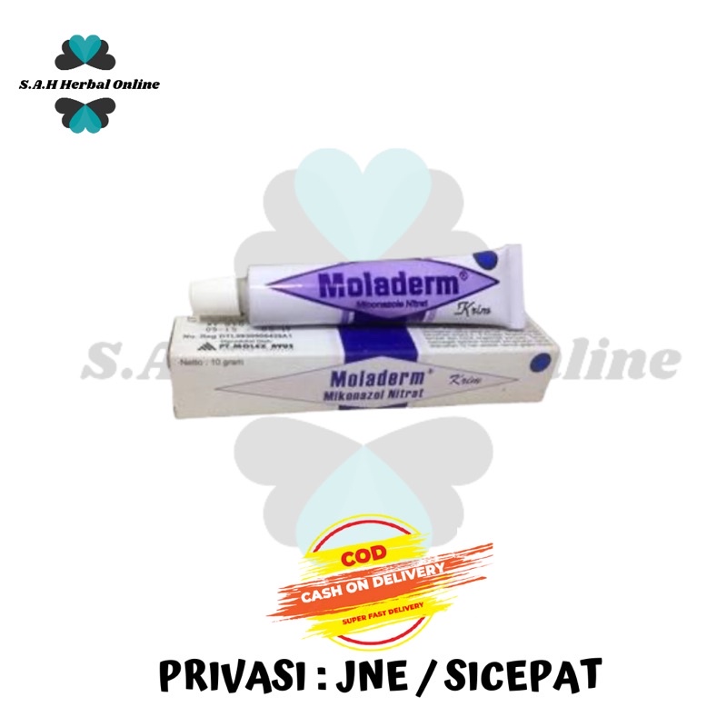 Jual Moladerm Cream 10 gr | Shopee Indonesia