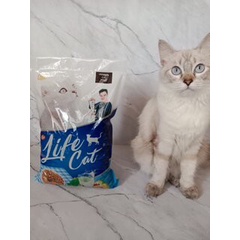 Jual Life cat Dry Food 1 kg makanan kucing kering life cat premium 1 kg ...