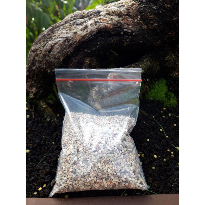 Jual batu tabur pancawarna | Shopee Indonesia