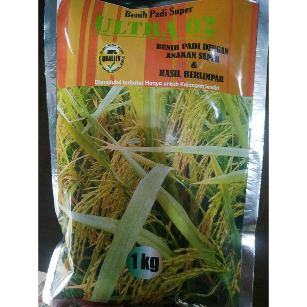 Jual Benih padi ULTRA 02 Premium 1 kg | Shopee Indonesia