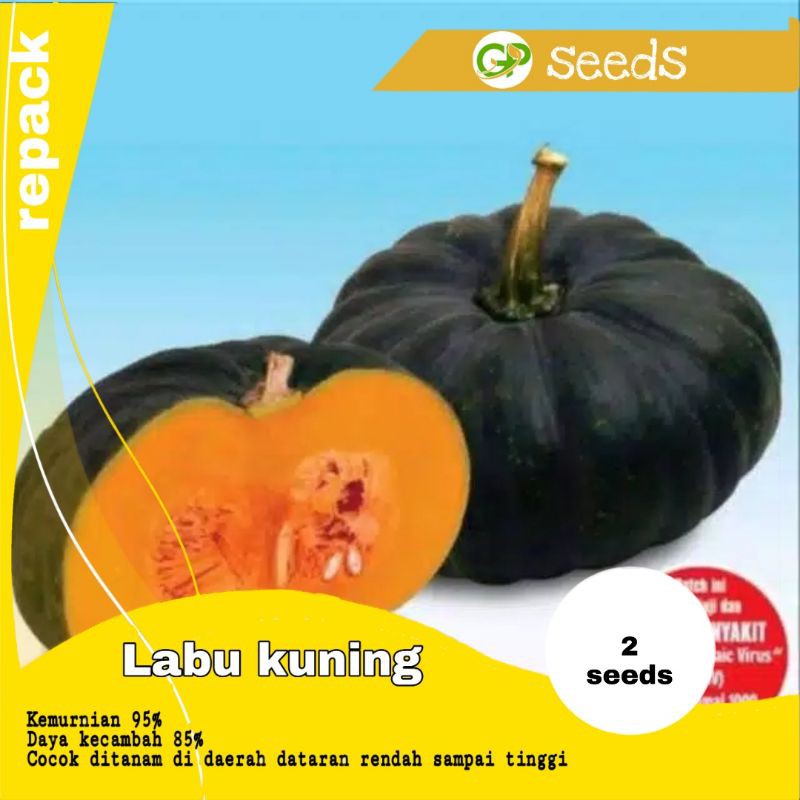 Jual benih labu kuning Kusuma | benih buah | bibit buah | benih tanaman ...