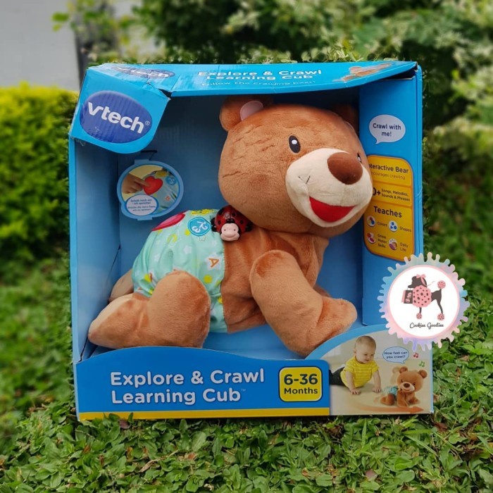 Jual Vtech Explore and Crawl Learning Cub | Shopee Indonesia
