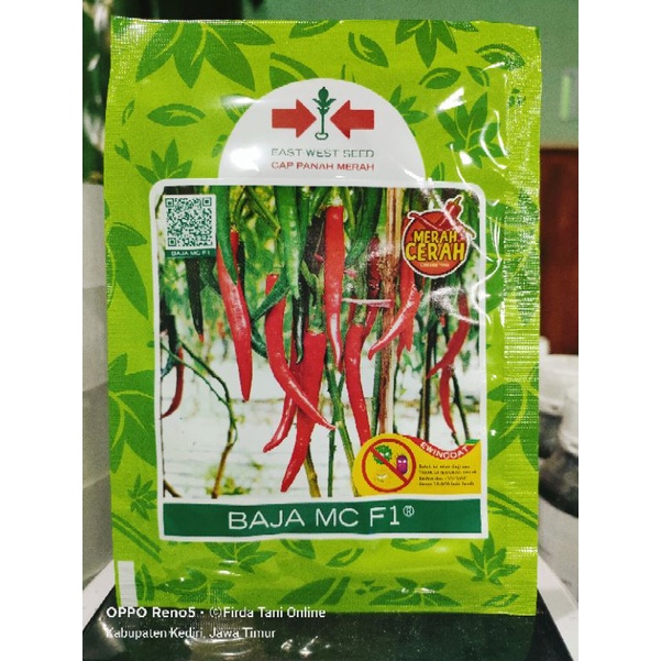 Jual Cabe Besar Baja Mc F1 10gr Tahan Virus Original Cap Panah Merah ...