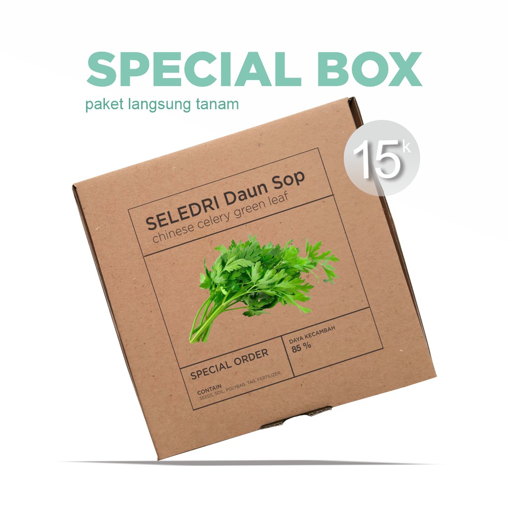 Jual Paket Langsung Tanam - Gardening Kit - SPECIAL BOX - Benih Seledri ...