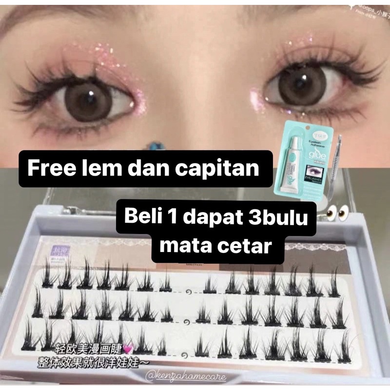 Jual READY STOCK Bulu mata Eyelash FREE Lem & Capitan (bulumata anti ...