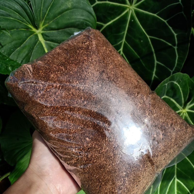 Jual Media tanam cocopeat | Shopee Indonesia